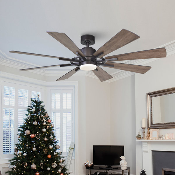 Steelside™ Lisa 60'' Ceiling Fan with LED Lights & Reviews | Wayfair