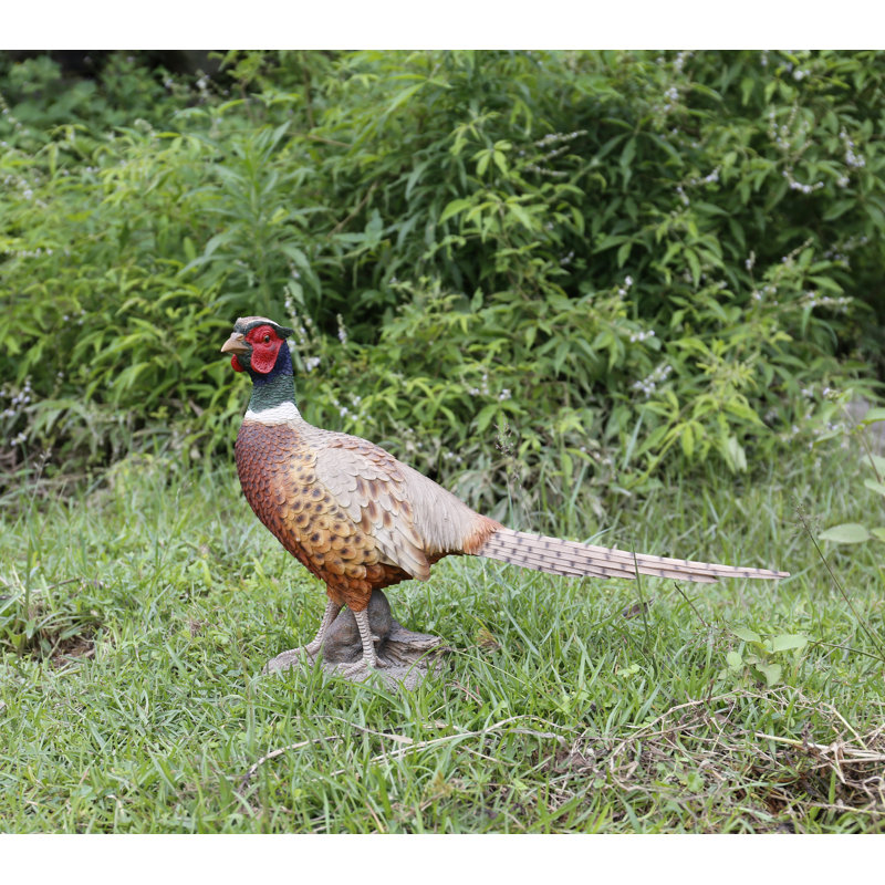 Hi-Line Gift Ltd. Standing Phesant Statue & Reviews | Wayfair