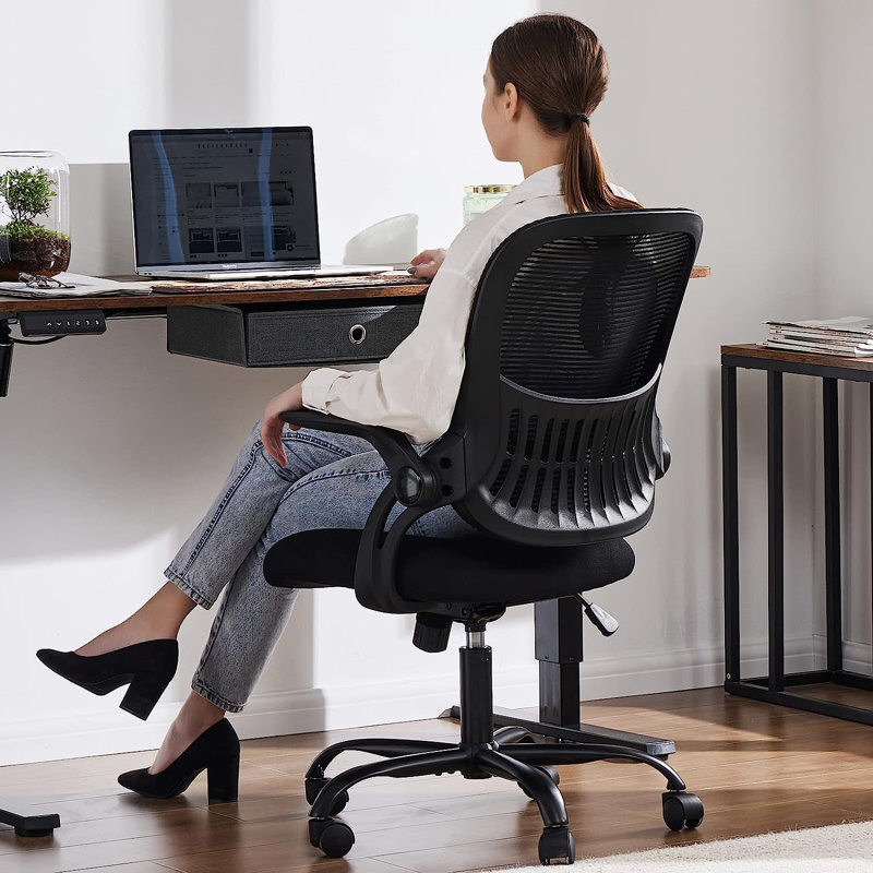 Arlmont & Co. Natorian Mesh Task Chair | Wayfair