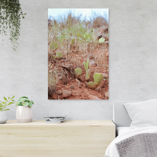Foundry Select Green Cactus Plant On Brown Soil During Daytime 1 On ...