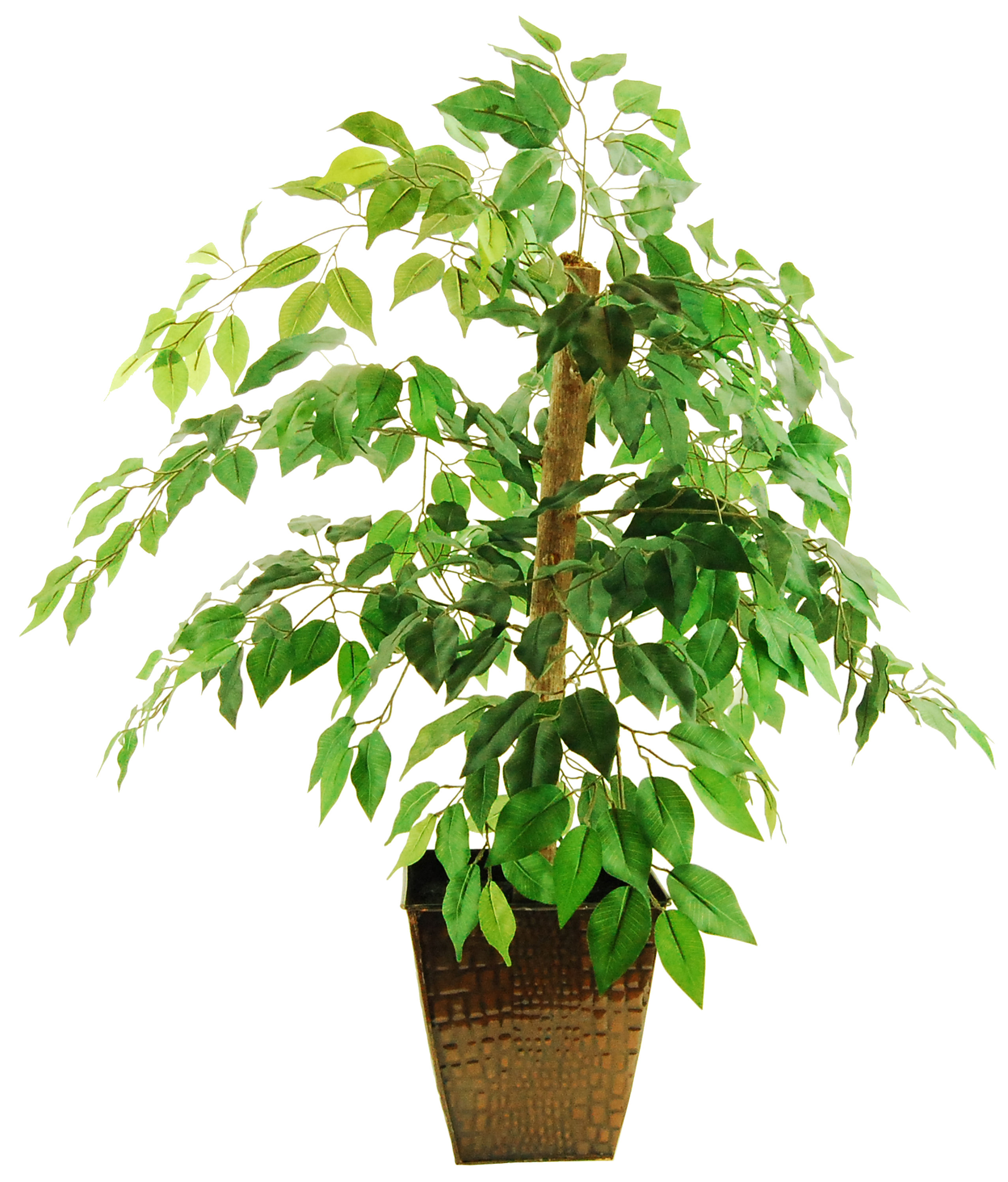 Arlmont & Co. Lou-Anna Ficus Tree in Planter - Wayfair Canada