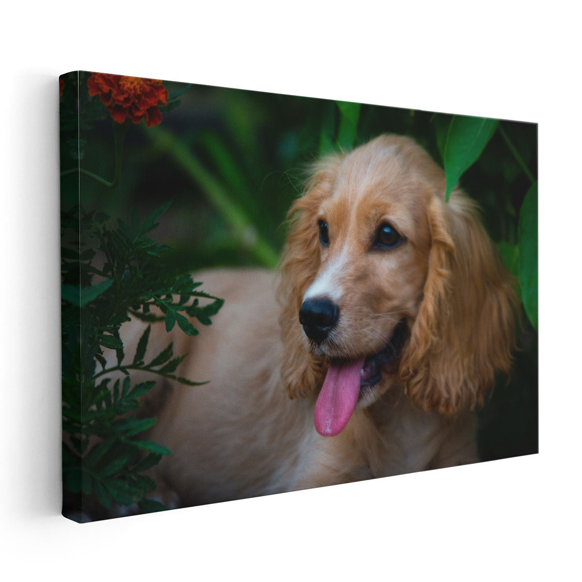 Latitude Run® A Happy Cocker Spaniel - Canvas Print Wall Art - Wayfair ...