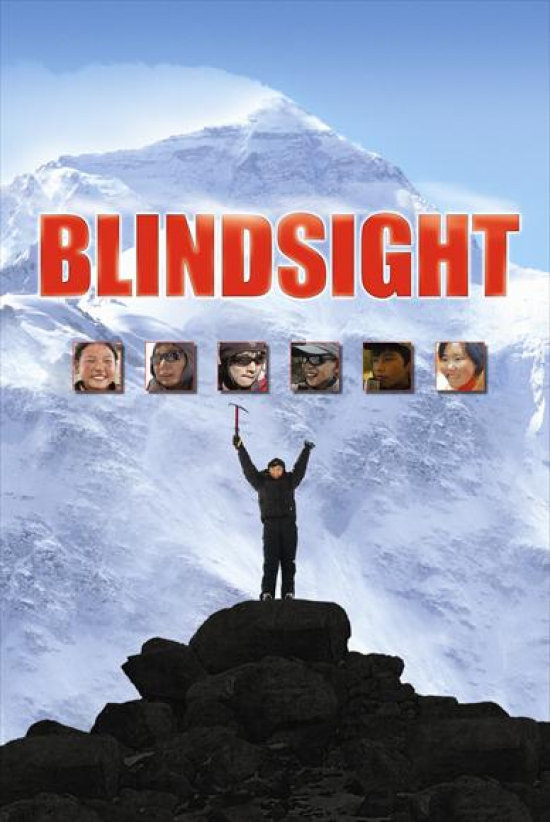 Posterazzi Blindsight Movie Poster (11 X 17) - Item # MOVCI9837 | Wayfair