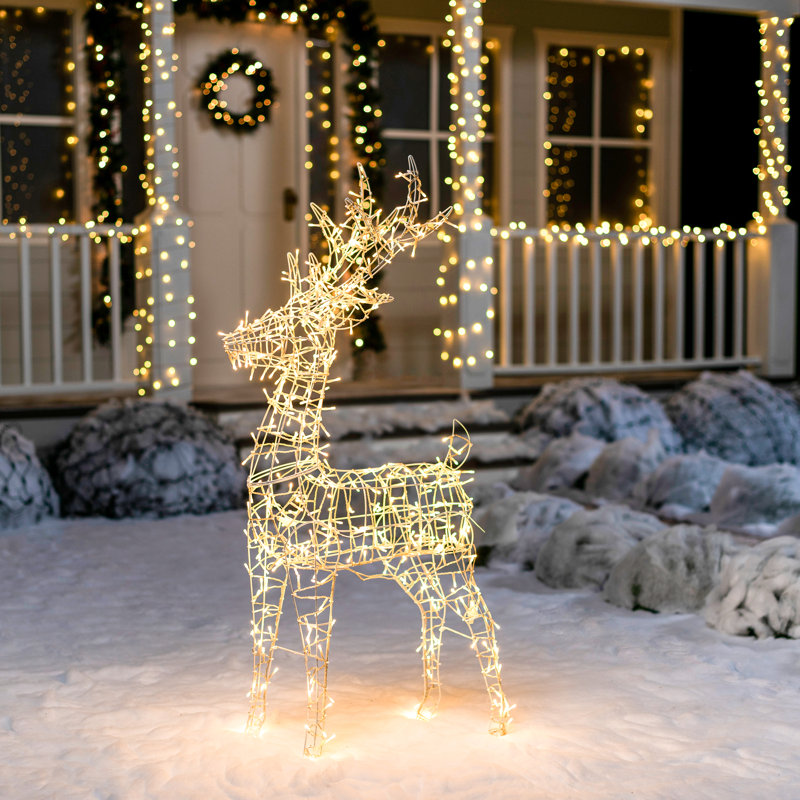 Joiedomi Wire Frame Buck Lighted Display | Wayfair