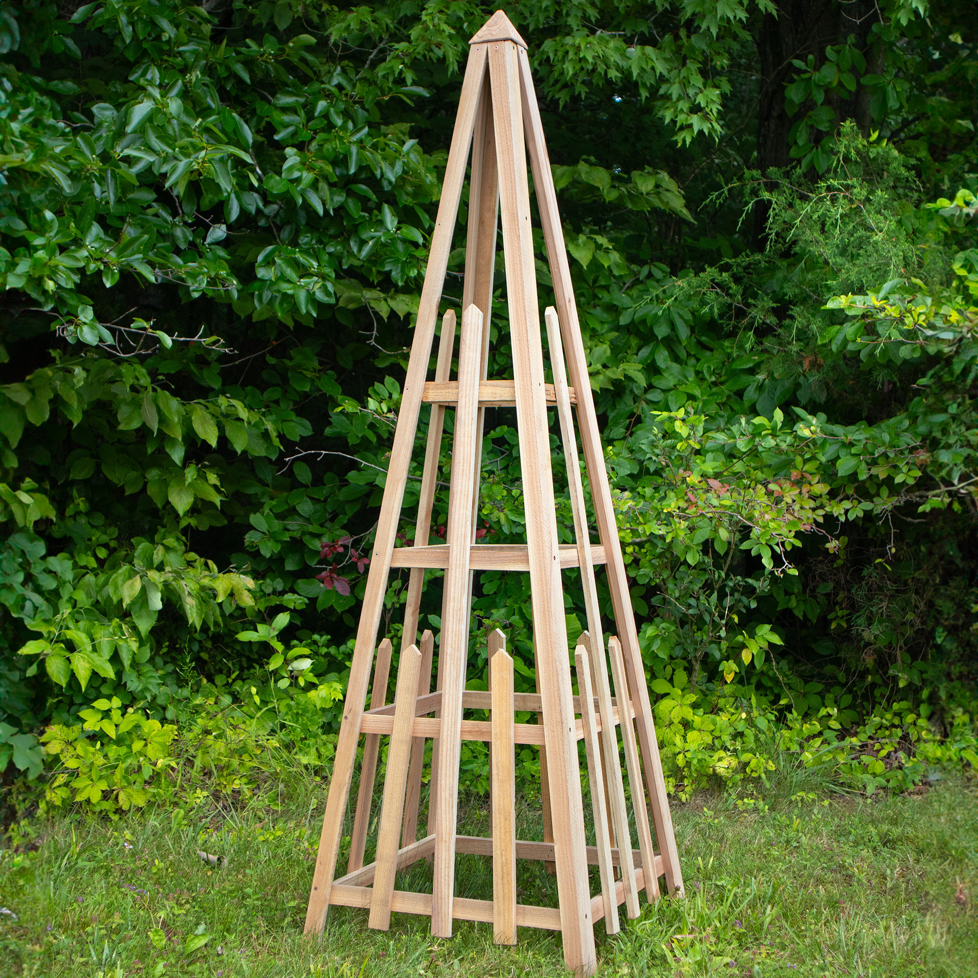 Arlmont & Co. Nikitah Cedar Pyramid Trellis. 72"H | Wayfair