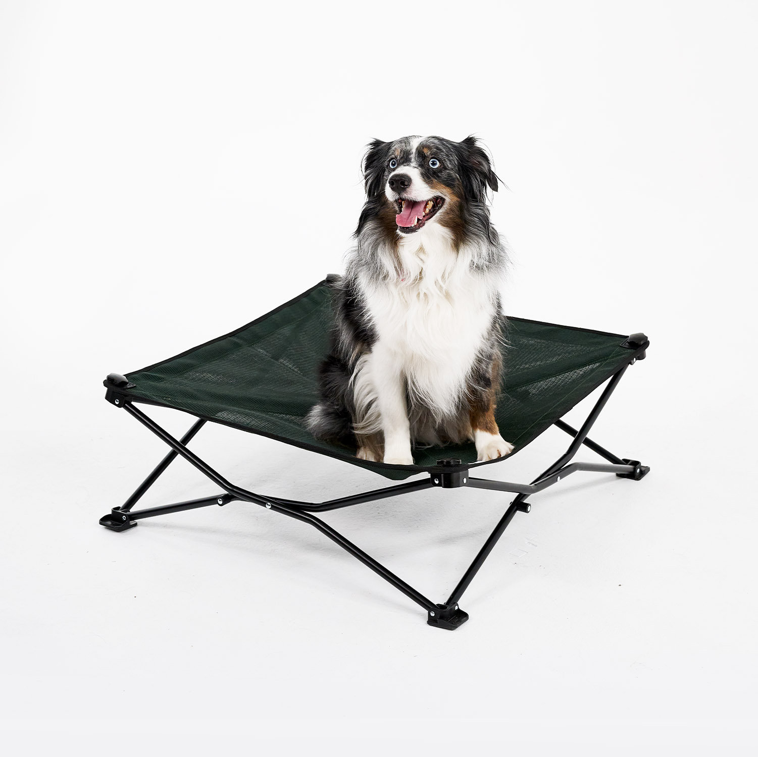 Coolaroo Pet Cot & Reviews | Wayfair