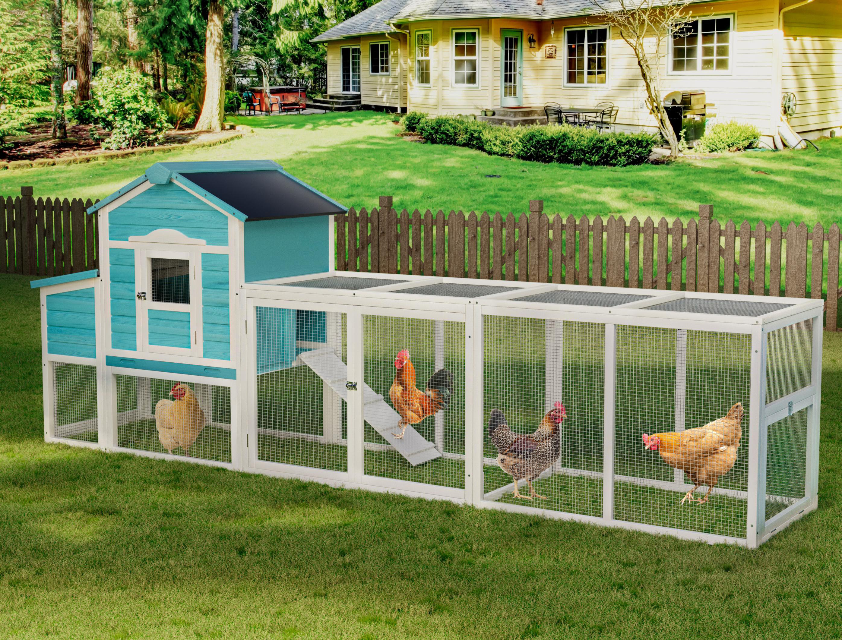 Ophelia & Co. Wooden Chicken Coop with Nesting Box and Free-Range Door ...