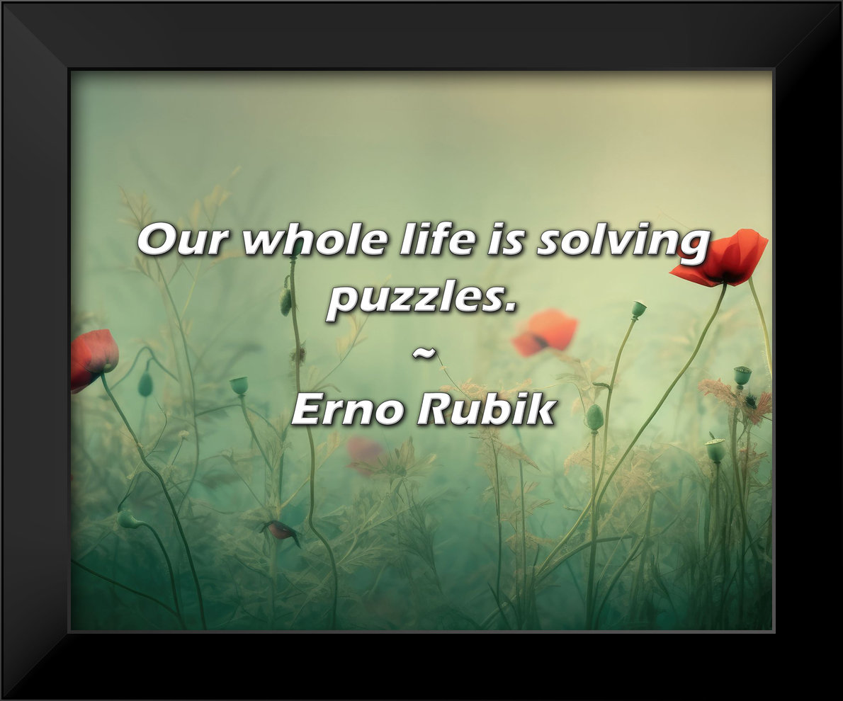 Trinx Erno Rubik Quote: Our whole life is solving puzzles. | Wayfair