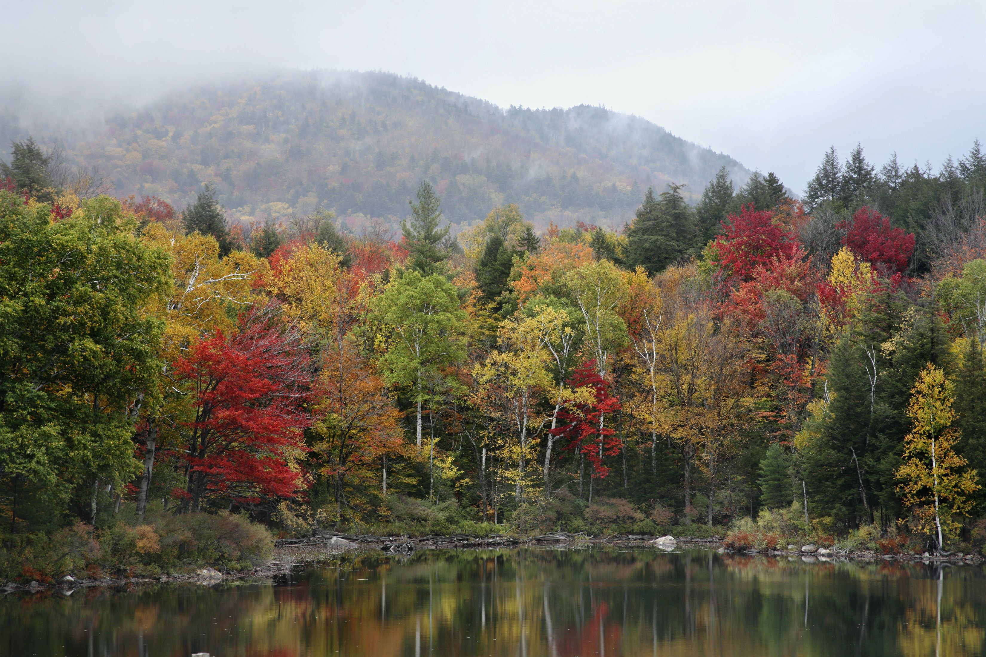 Millwood Pines Aiumu Tupper Lake by - Wrapped Canvas Photograph | Wayfair