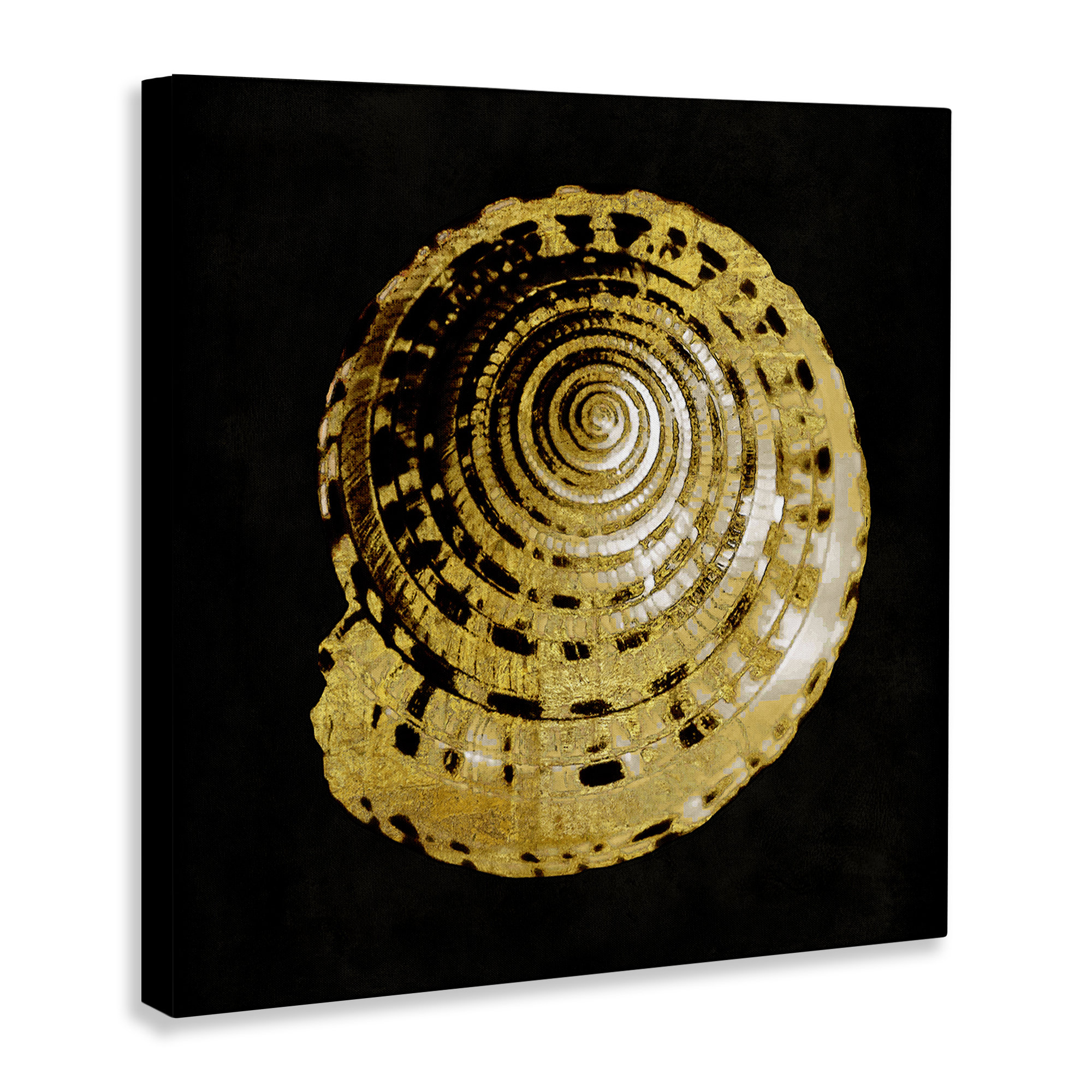 Mercer41 Gold Spiral Shell Canvas Wall Art by Caroline Kelly | Wayfair