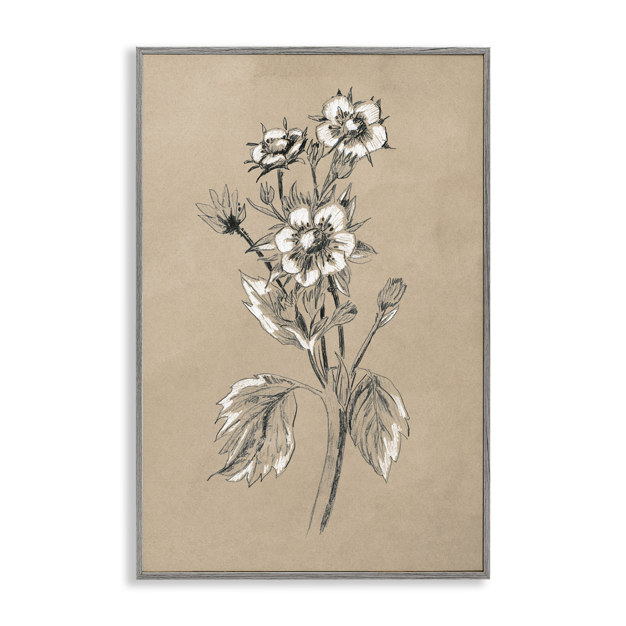 Stupell Industries Apple Blossom Drawing June Erica Vess bg-088 | Wayfair