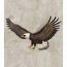 Regal Art & Gift Eagle Wall Decor & Reviews | Wayfair