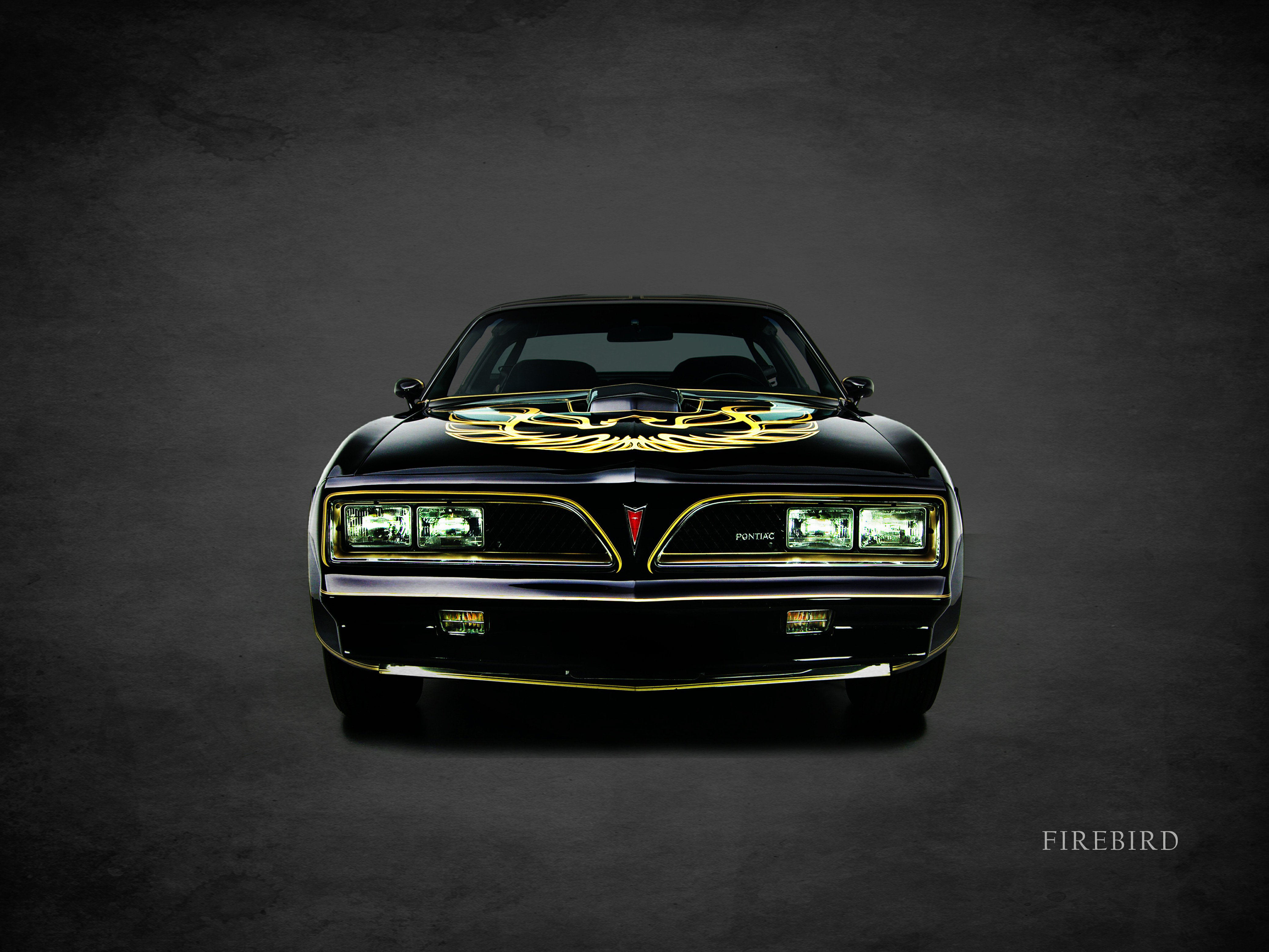 Ebern Designs Pontiac Firebird Transam 1978 by Mark Rogan - Wrapped ...
