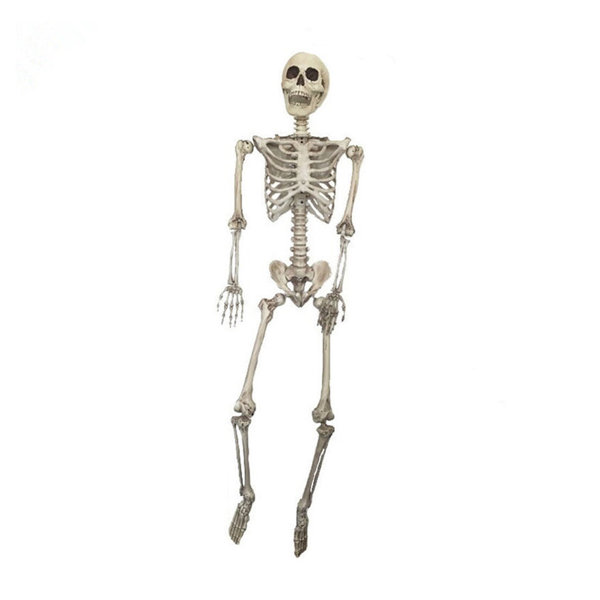 The Twillery Co.® Halloween Poseable Human Skeleton Props Party Decor ...