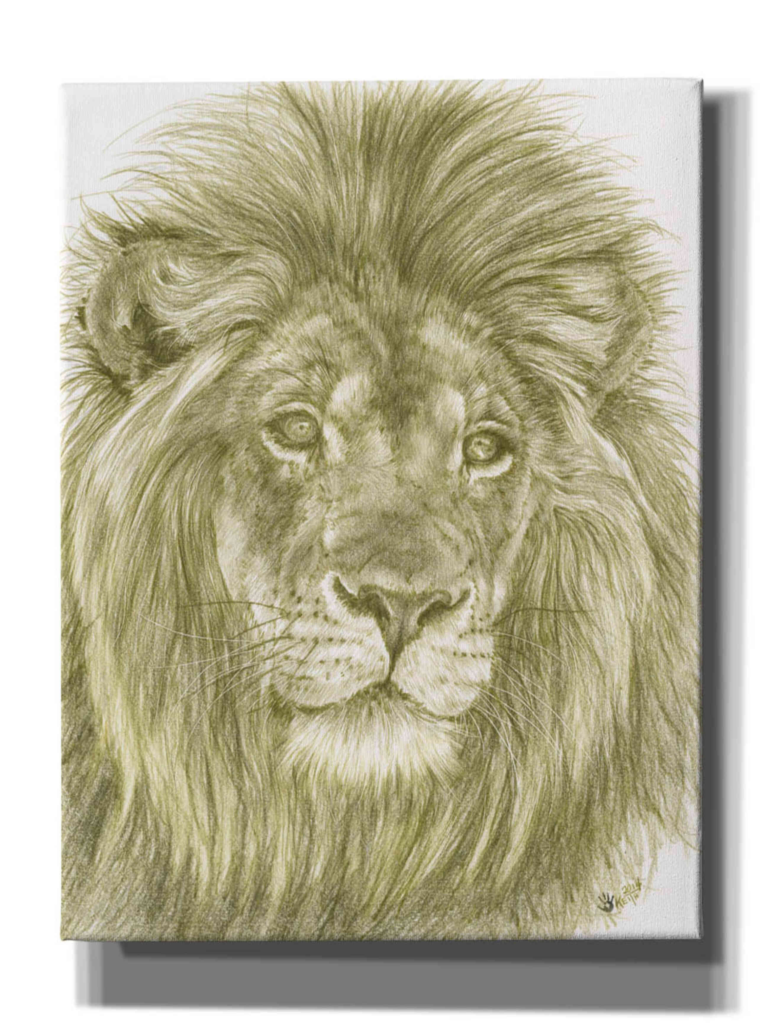 Latitude Run® Epic Graffiti 'Lush' By Barbara Keith, Canvas Wall Lush ...