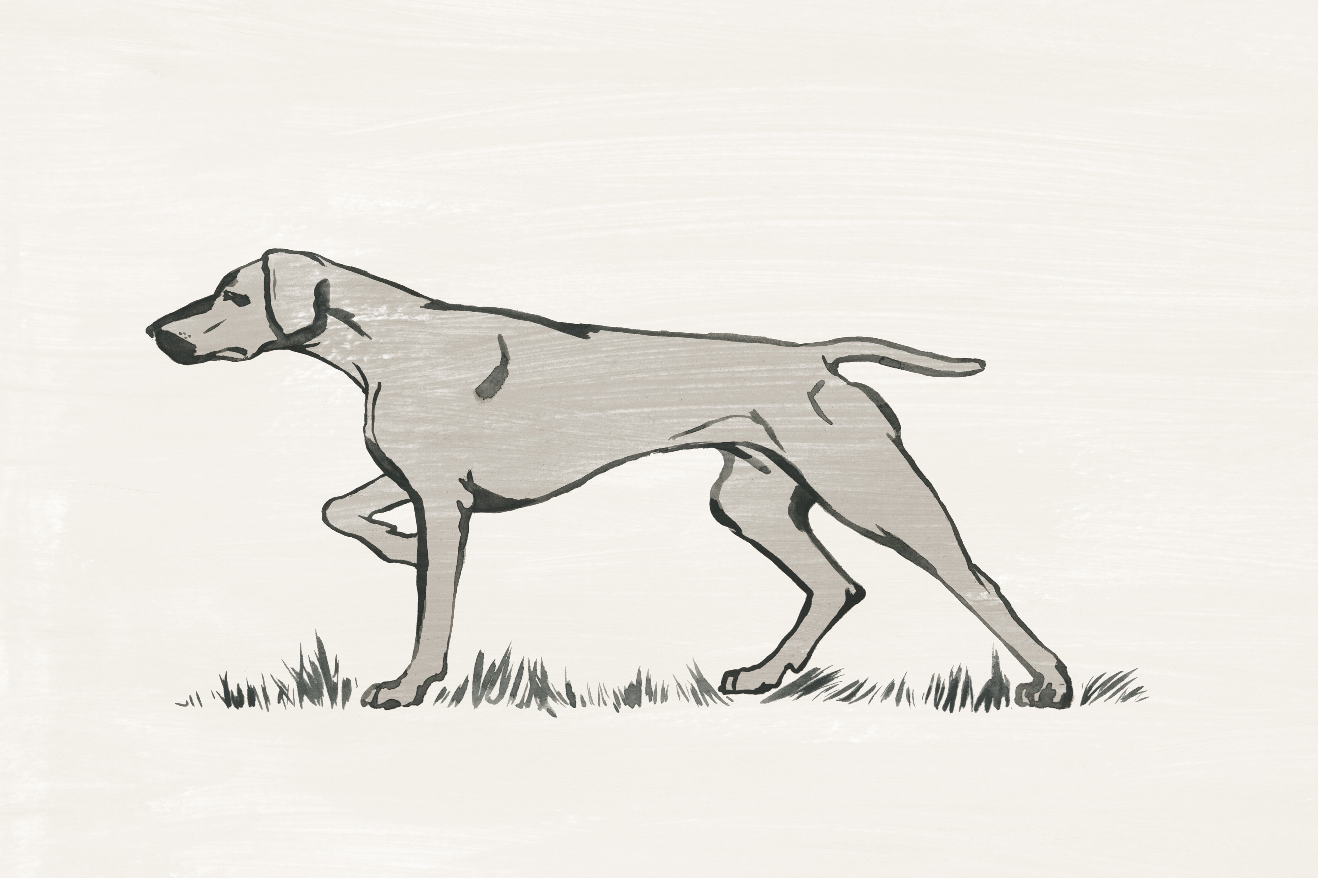 Winston Porter Neutral Pointer II - Wayfair Canada