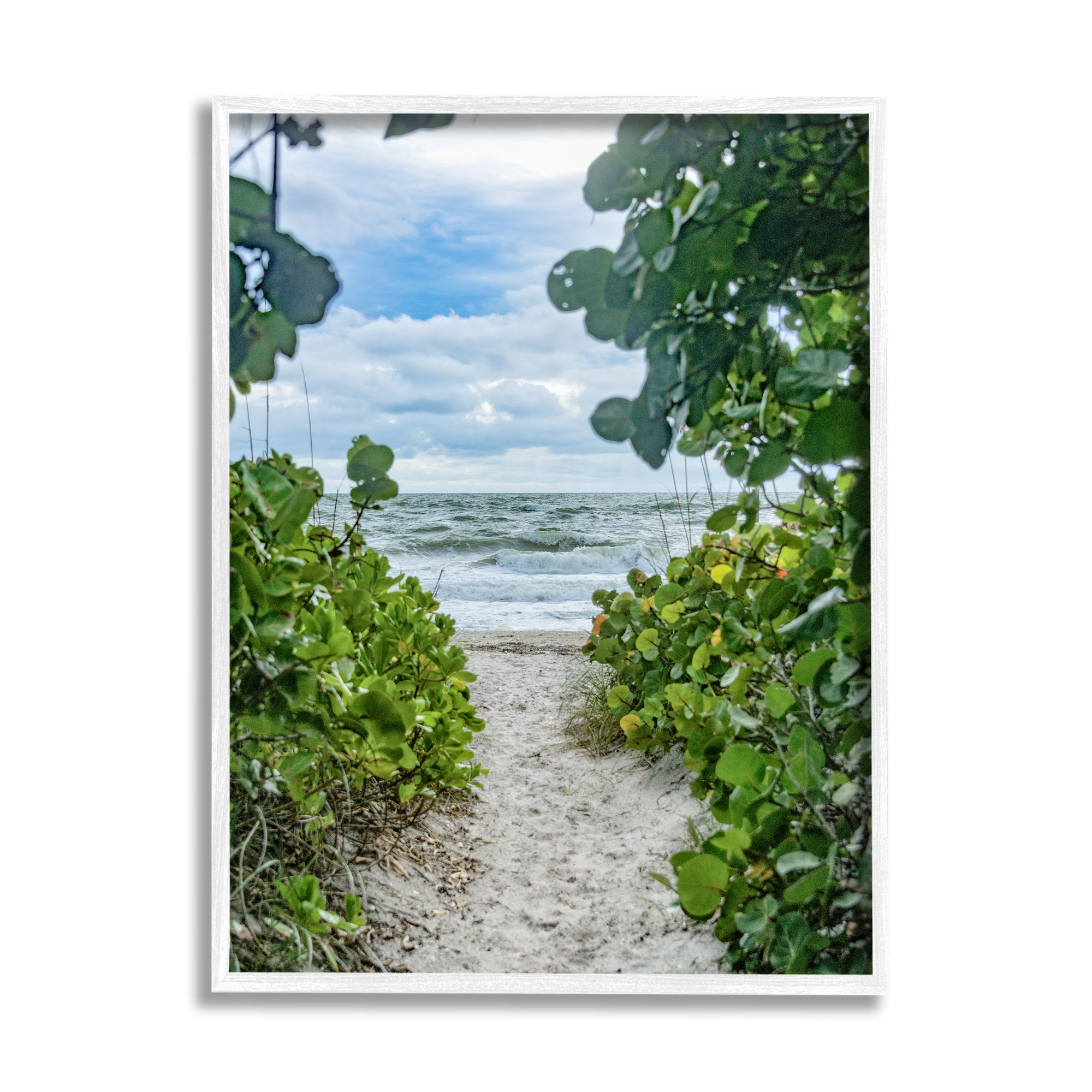 Stupell Industries Overhanging Beach Greenery Plants Path Giclee ...