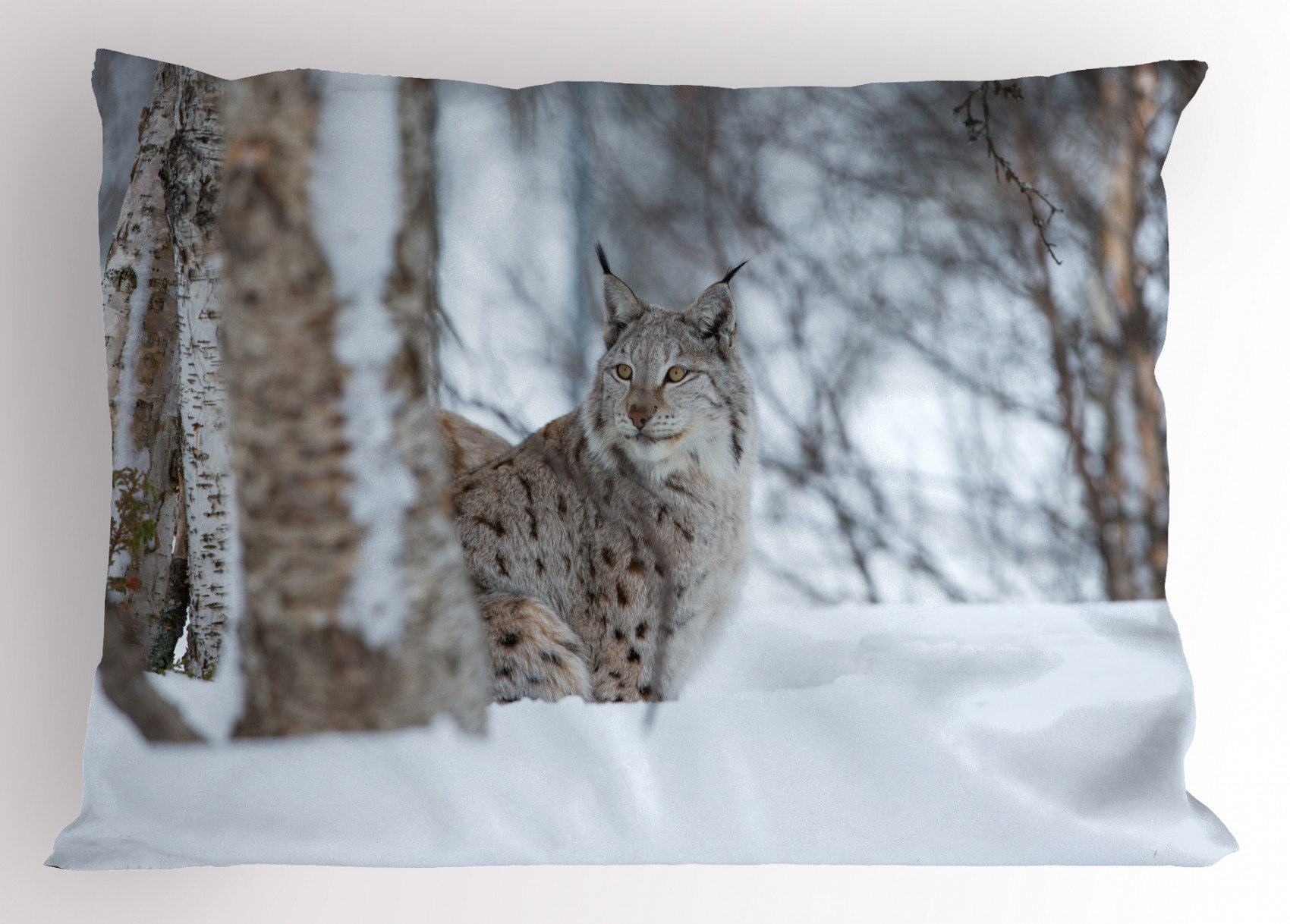 Ambesonne Country Animal Sham | Wayfair