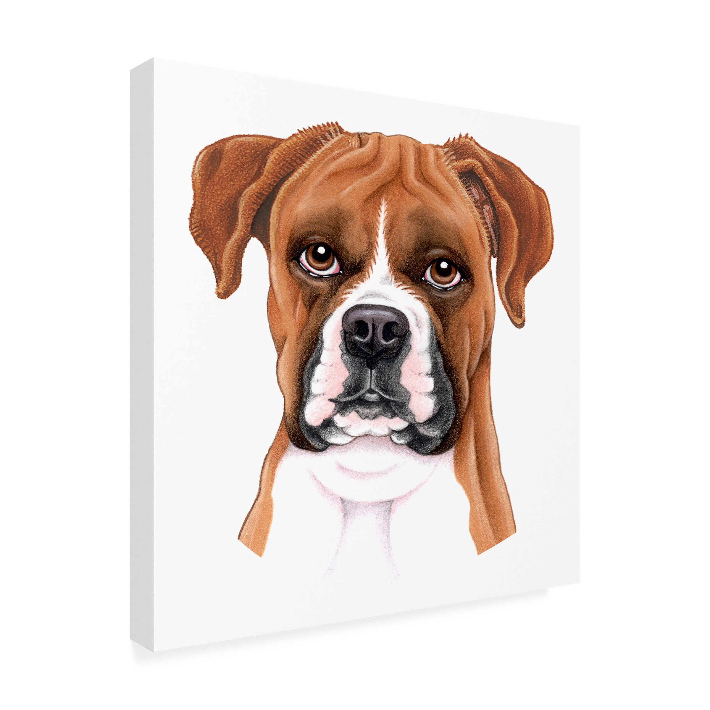 Winston Porter Boxer par Tomoyo Pitcher - Wayfair Canada
