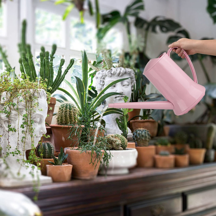 ColorLife Watering Can - Wayfair Canada