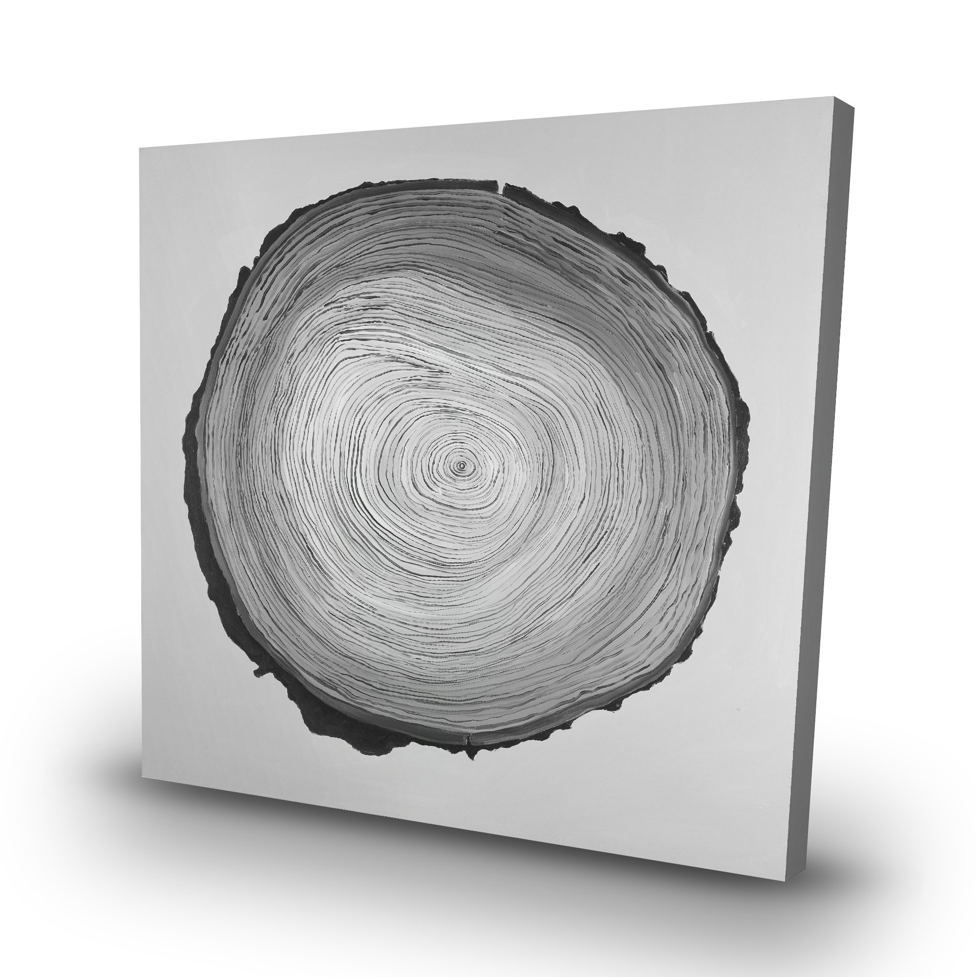 Begin Edition International Inc. Grayscale round wood log - 32"x32" art ...