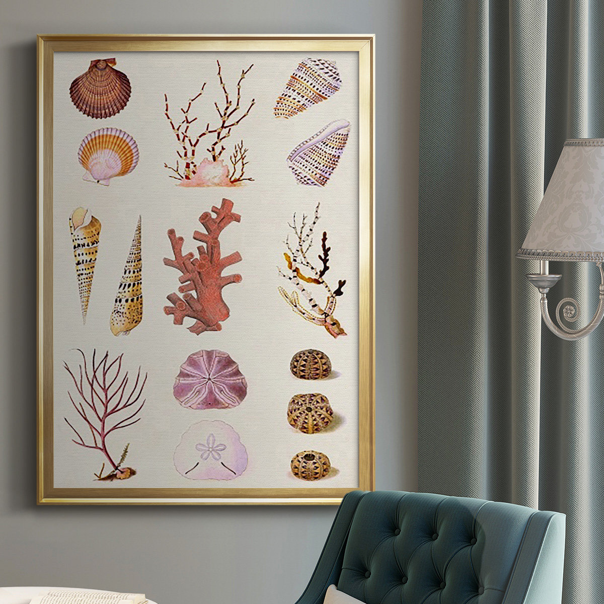 Wexford Home Coral and Shell Collage II - Picture Frame Print on Paper ...