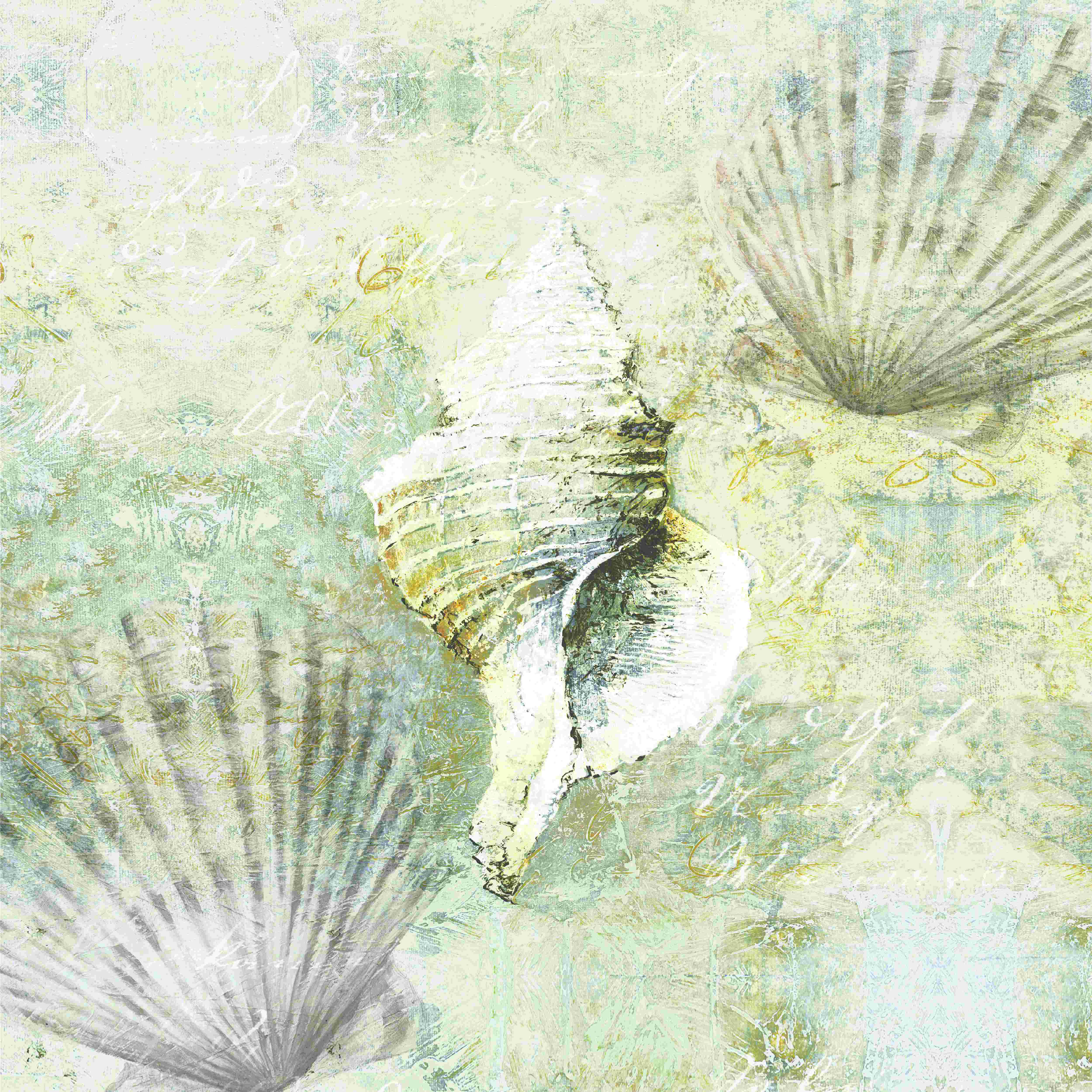 Highland Dunes Shell Boy | Wayfair