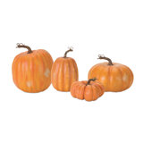 Pumpkin | Wayfair