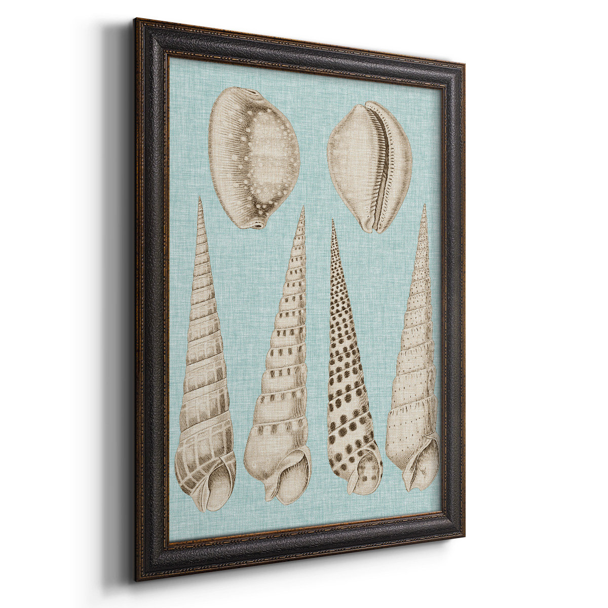 Highland Dunes Sepia & Aqua Shells VI Premium Framed Canvas- Ready To ...