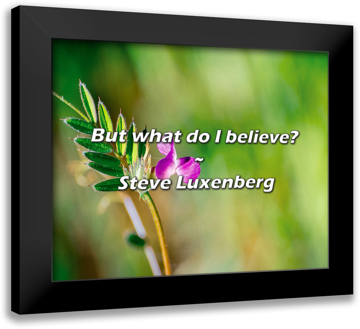 Trinx Steve Luxenberg Quote: But what do I believe? | Wayfair