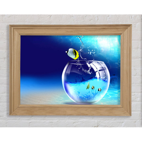 Bright Star Fishy Life - Single Picture Frame Print | Wayfair.co.uk