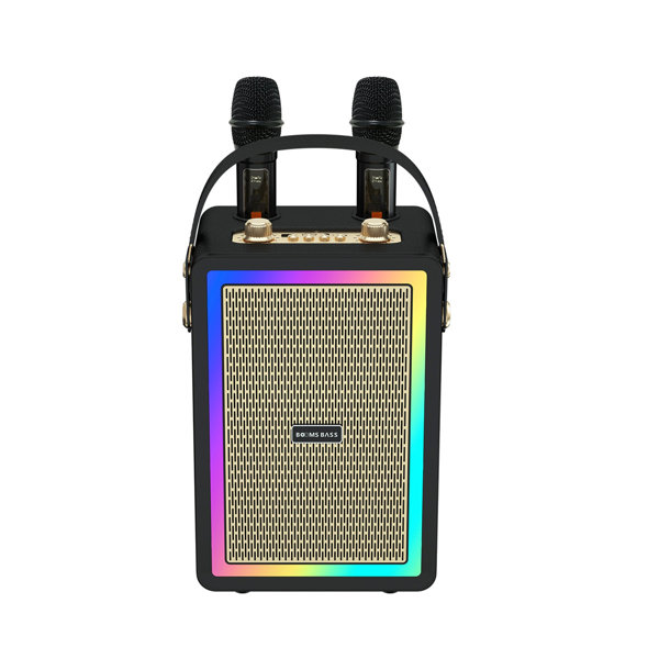 braaavo Portable Juke Box with Bluetooth | Wayfair