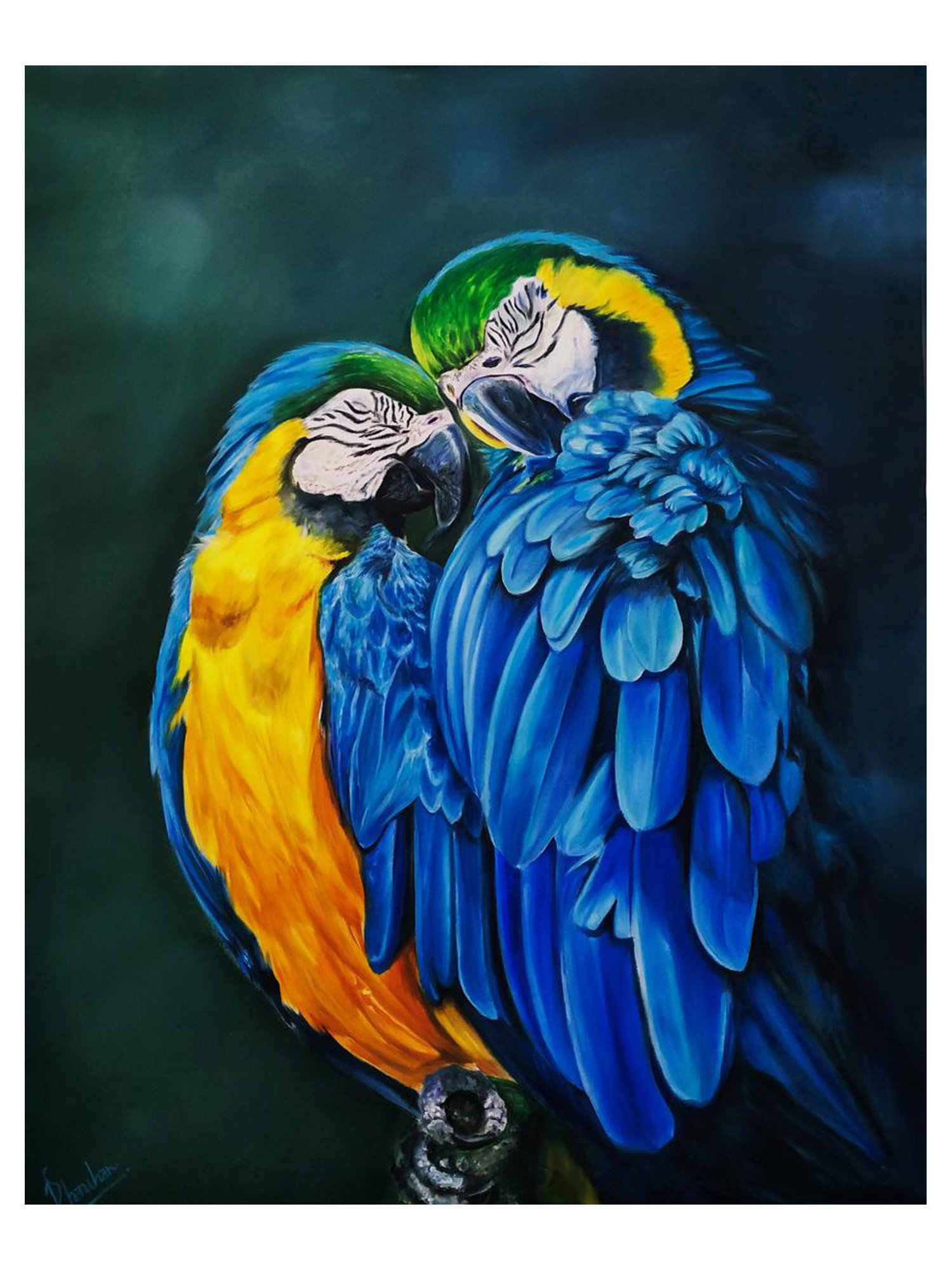 Exotic India Macaw Couple | Acrylic On Canvas | By Deekshaâ Chauhan ...