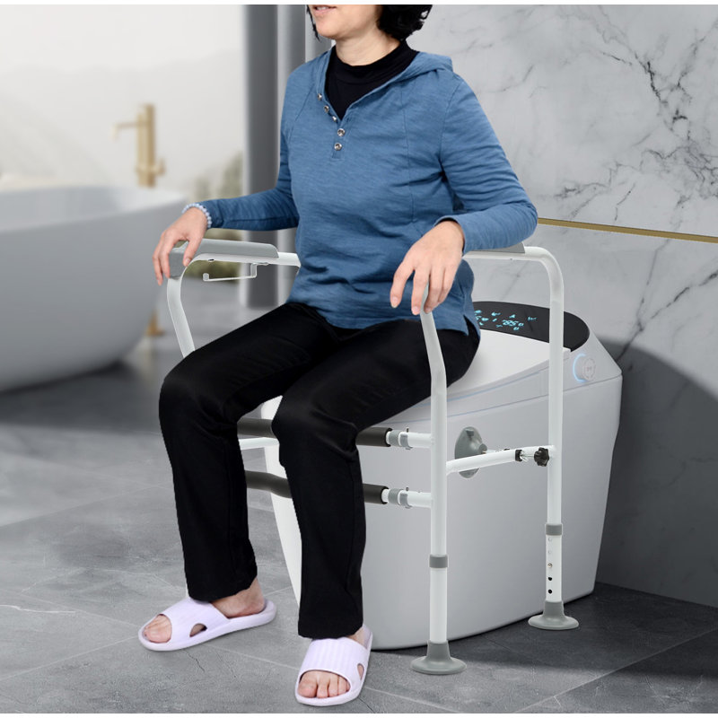 Lomana Toilet Safety Frame & Reviews | Wayfair