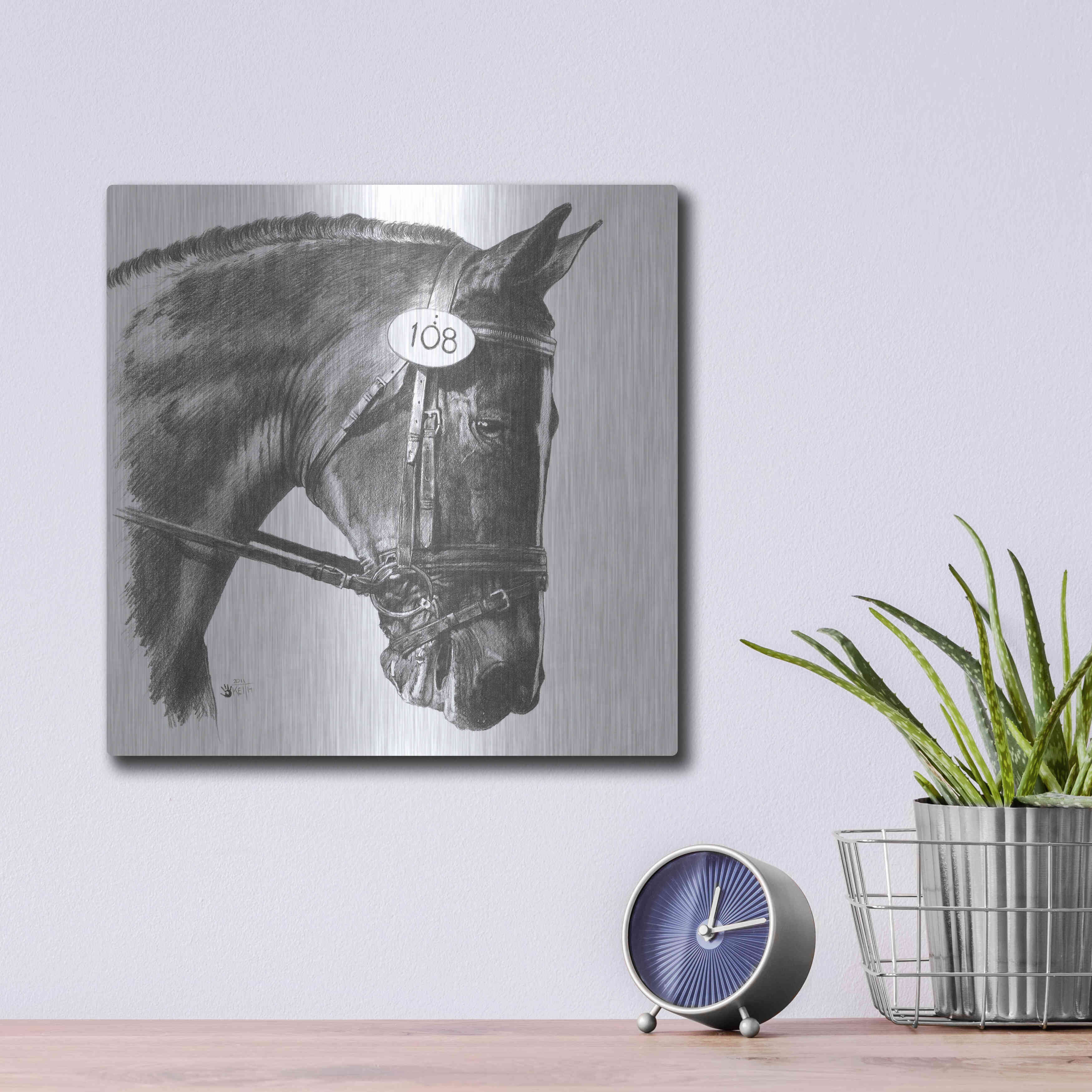 Gracie Oaks Luxe Metal Art 'Opaque' By Barbara Keith, Metal Wa Opaque ...