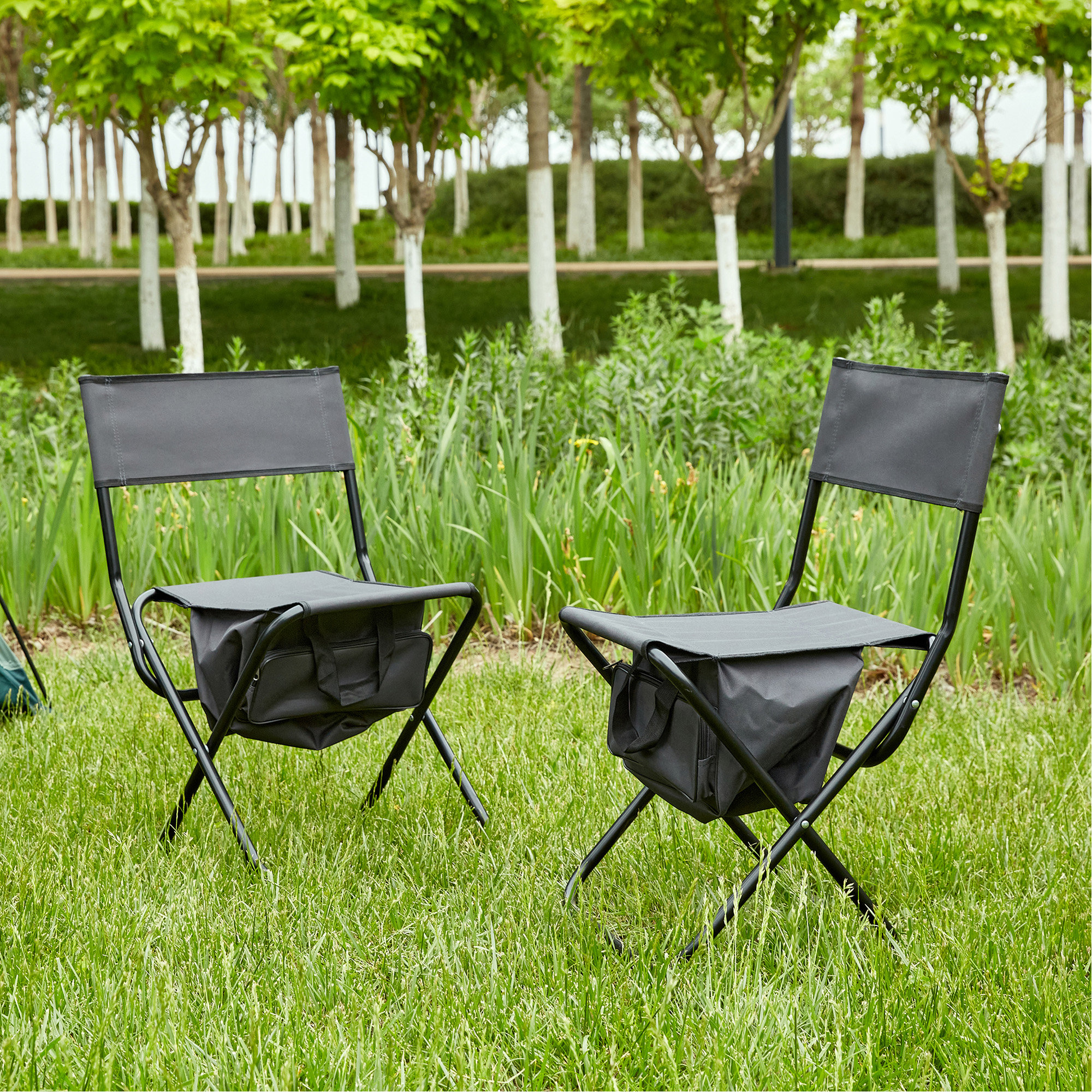 Ophelia & Co. Portable Folding Chair With Versatile Functions For ...