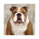 ClassicLiving Bulldog by Keri Rodgers - Wrapped Canvas Art Prints ...