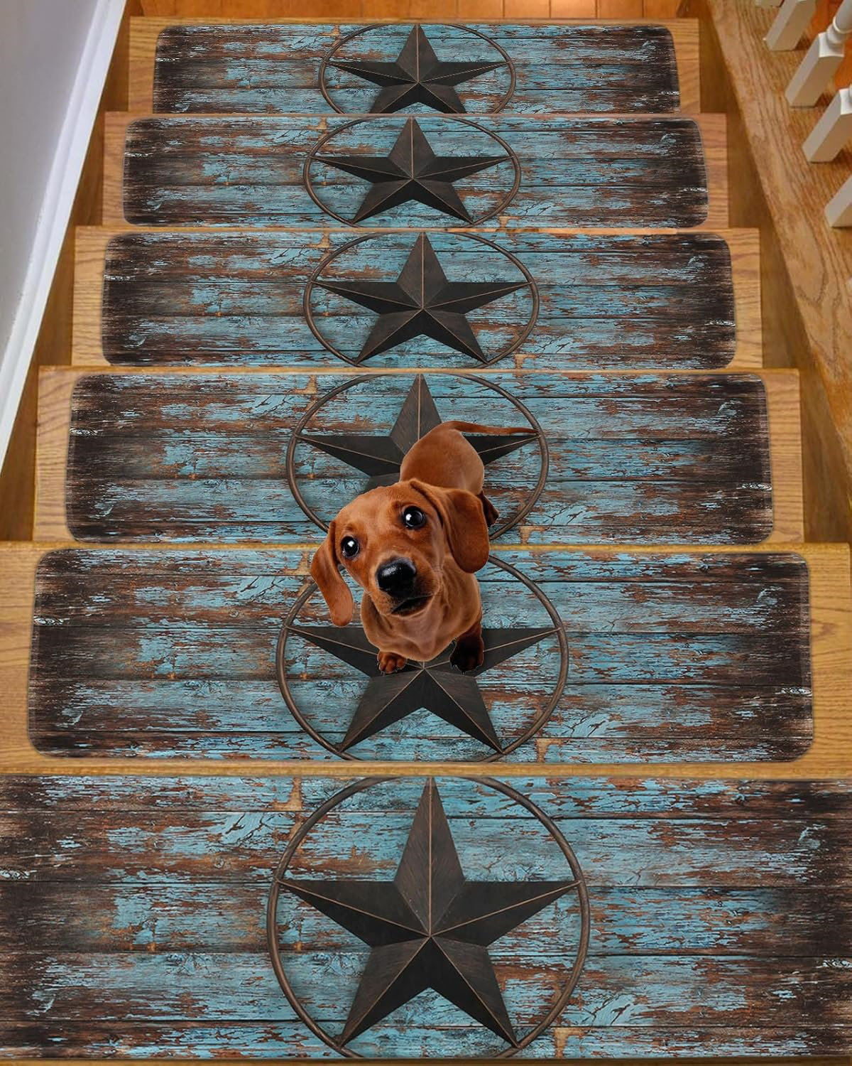 One Allium Way Stair Treads For Wooden Steps,Western Metal Stars ...