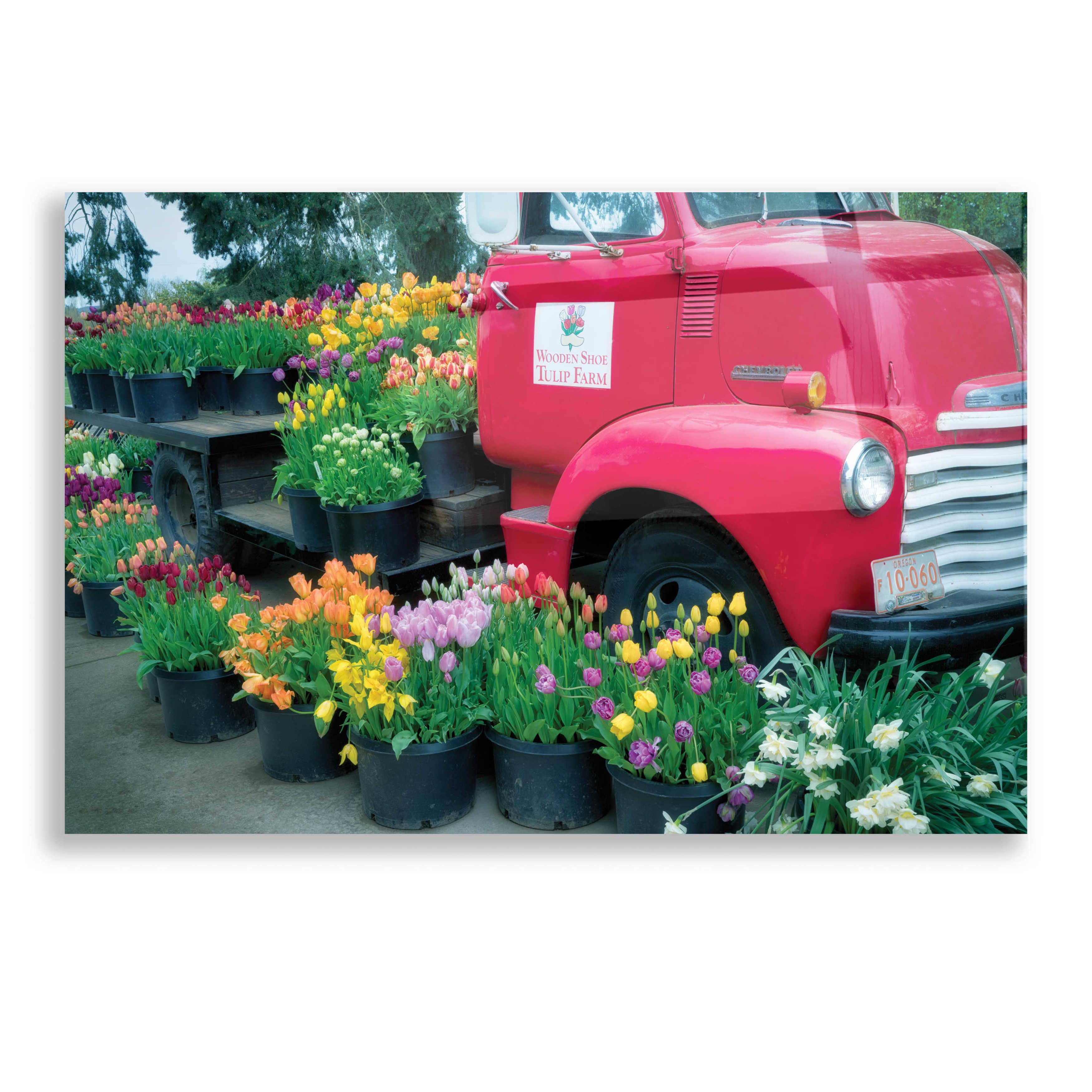 Gracie Oaks Floral Truck " Floral Truck " by Dennis Frates | Wayfair