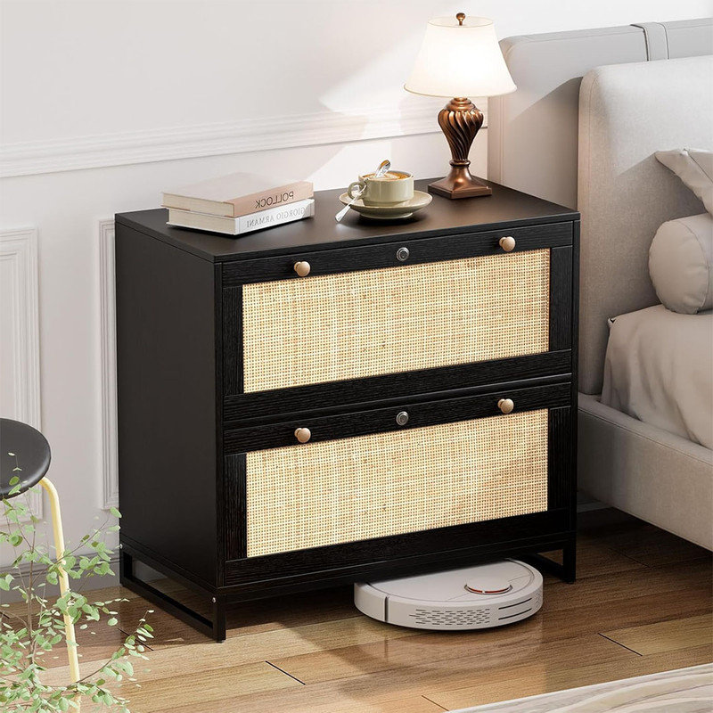 Bay Isle Home™ Black Rattan 2 Drawer Lateral File Cabinet with Lock ...