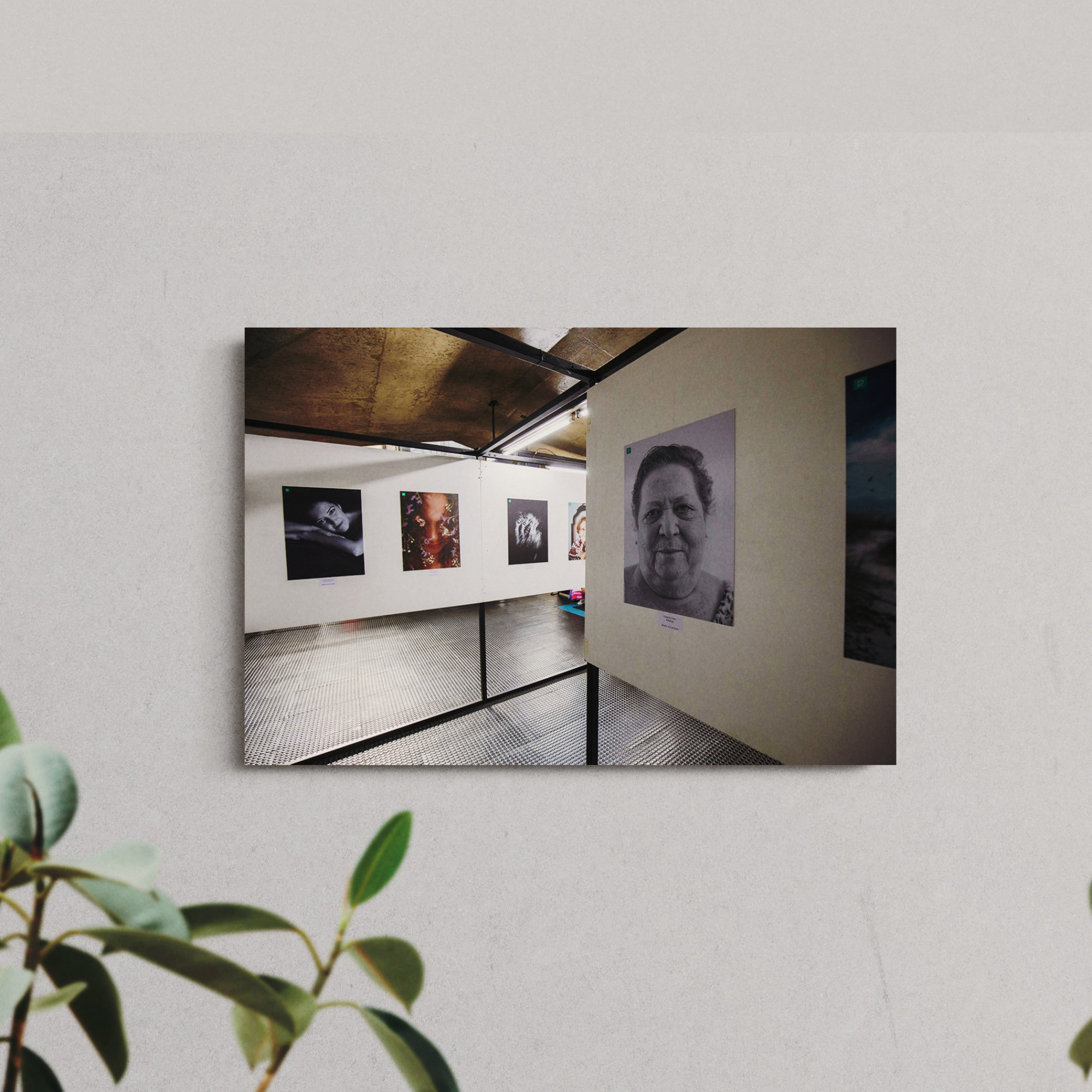 Ebern Designs Modern Art Gallery Exhibit for Creative Spaces | Wayfair