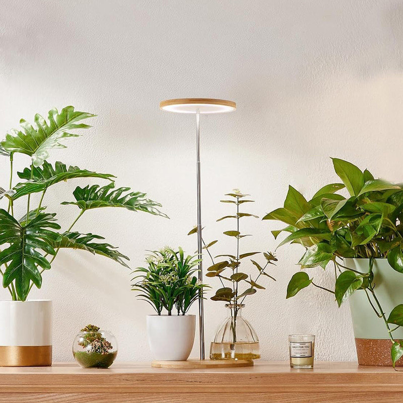 Kiflic Plant Grow Light for Indoor Plant,Mini LED Grow Light Garden ...