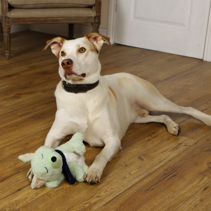 Archie & Oscar Arctic Fox Plush | Wayfair.co.uk