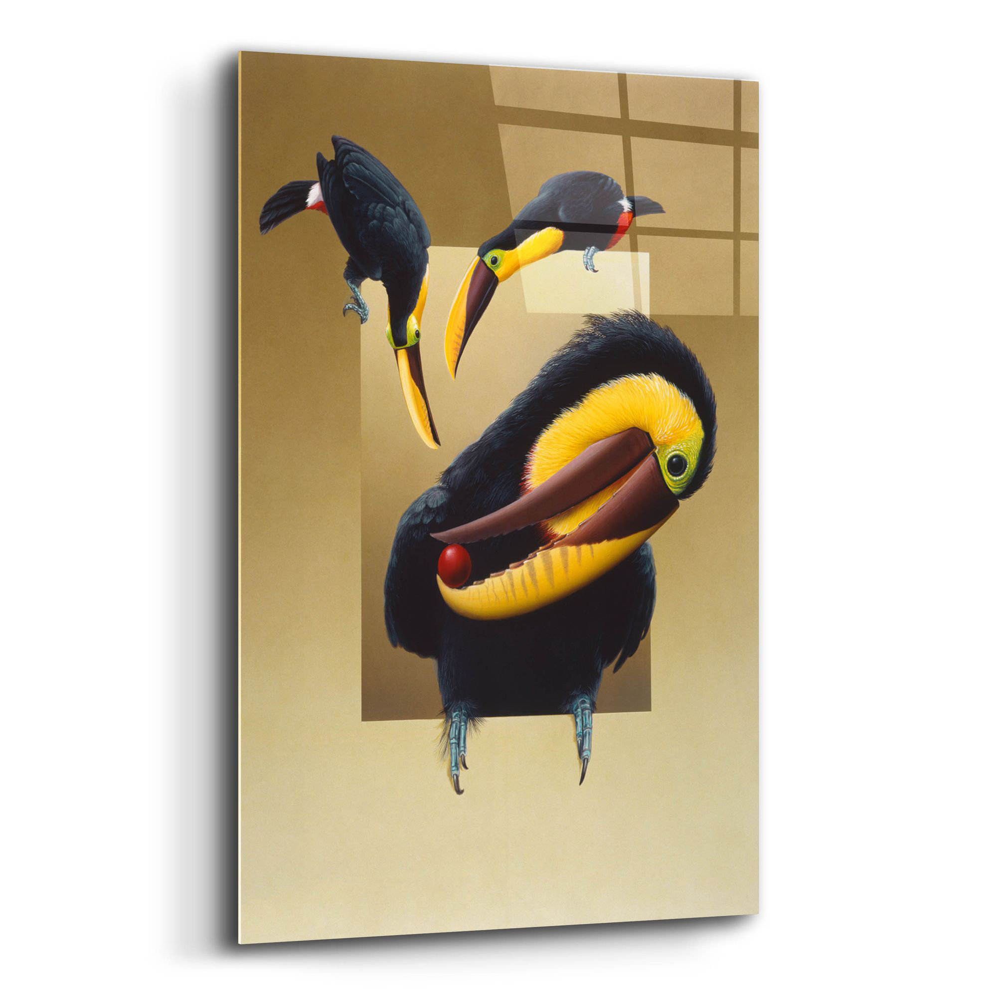 Latitude Run® 'Chestnut-Mandibled Toucans' By Harro Maass, Acrylic ...