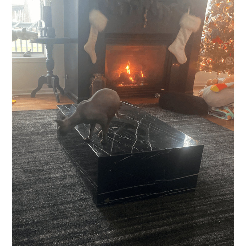 BETACH Genuine Marble Block Coffee Table - Nero Black Marble & Reviews ...