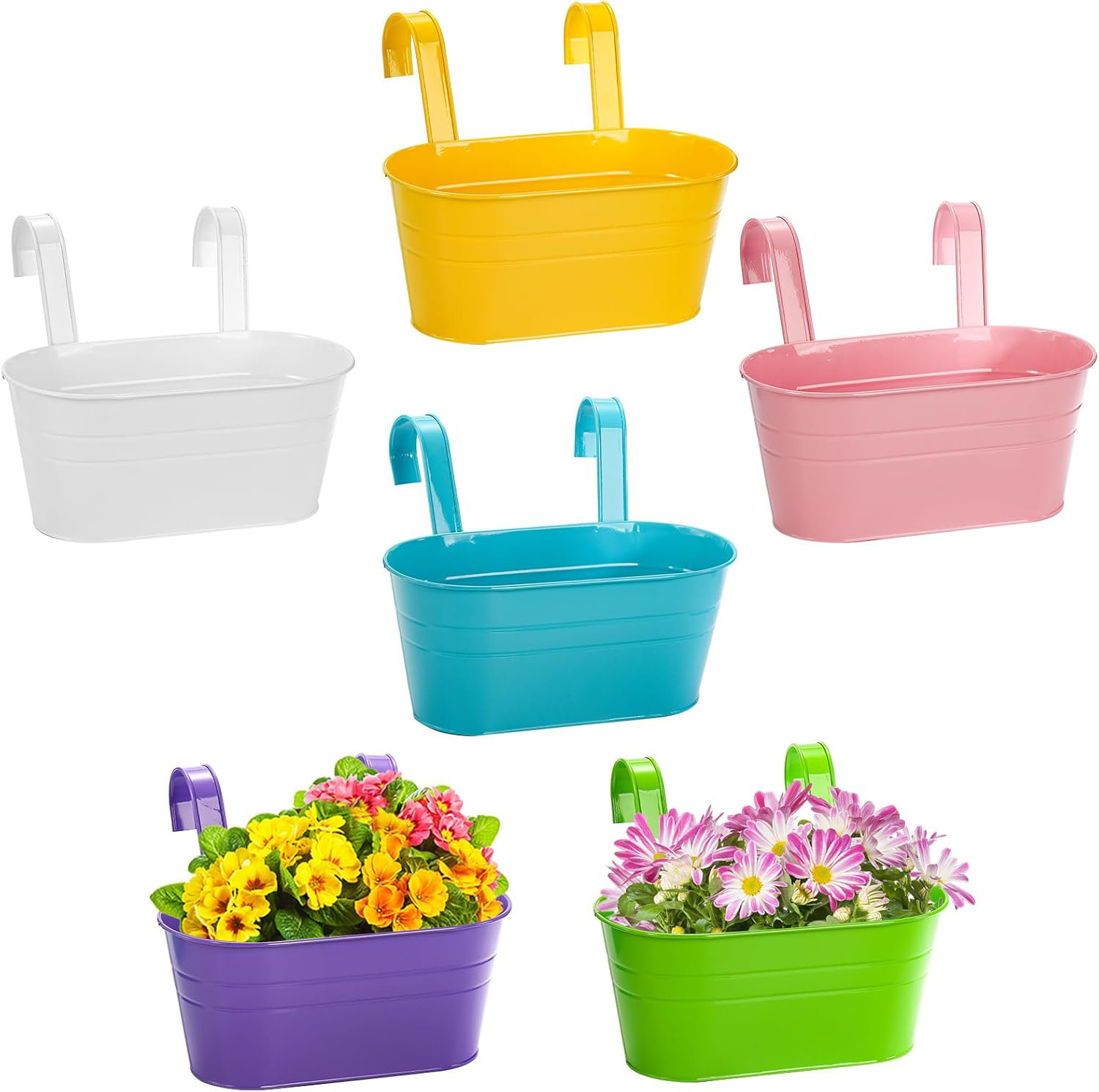 17 Stories 6 Pack Hanging Flower Pots | Wayfair