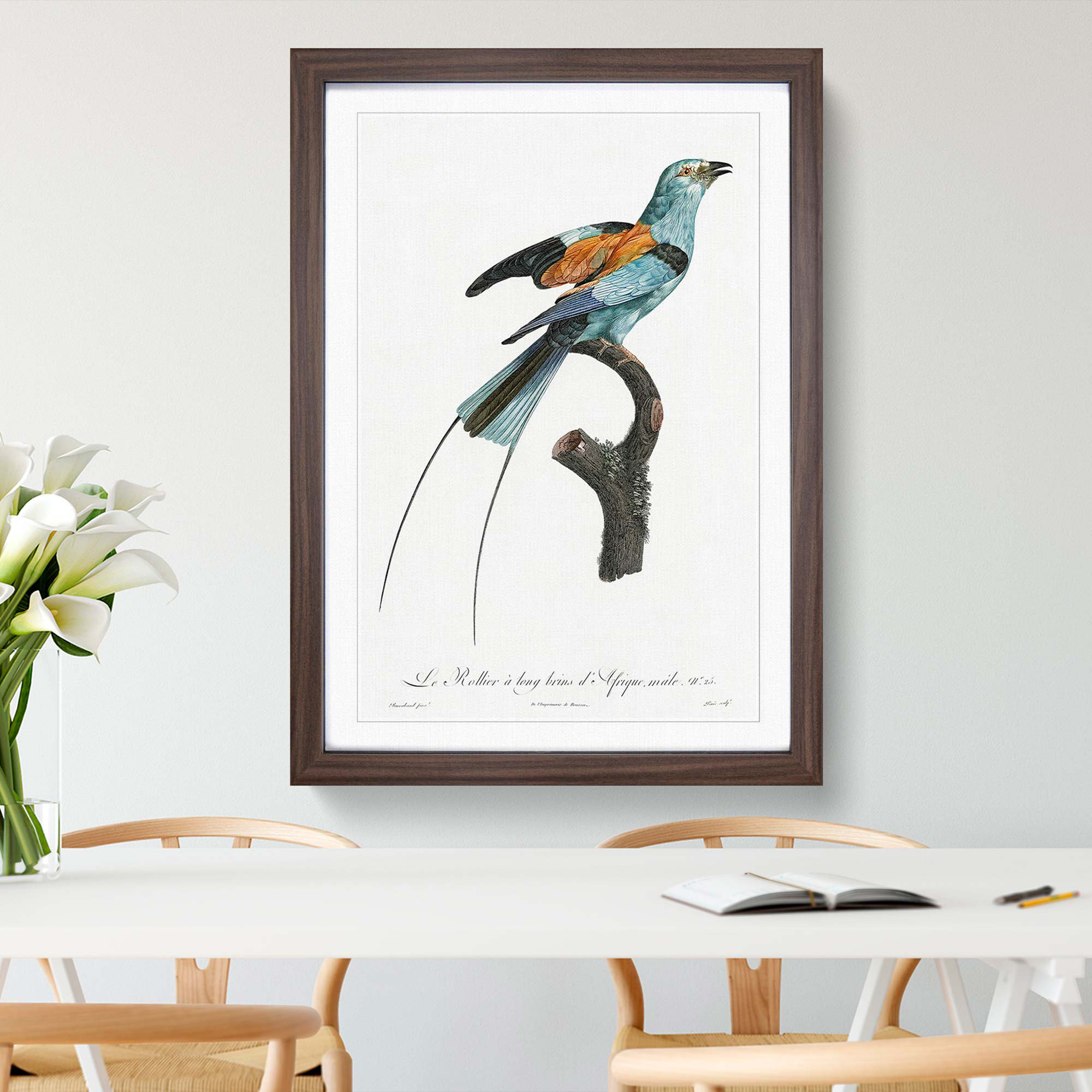 East Urban Home Long-Stranded African Roller Bird by Jacques Barraband ...