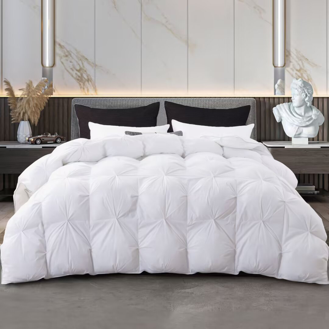 Alwyn Home 750+ Fill Power Goose Feathers Showunmi with Pinch Pleat ...