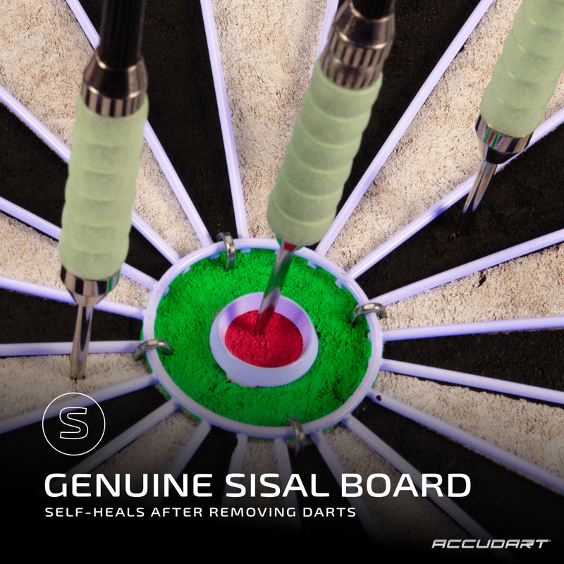 Accudart Nighthawk 2 in 1 LED/Blacklight Bristle Dartboard Surround Set ...