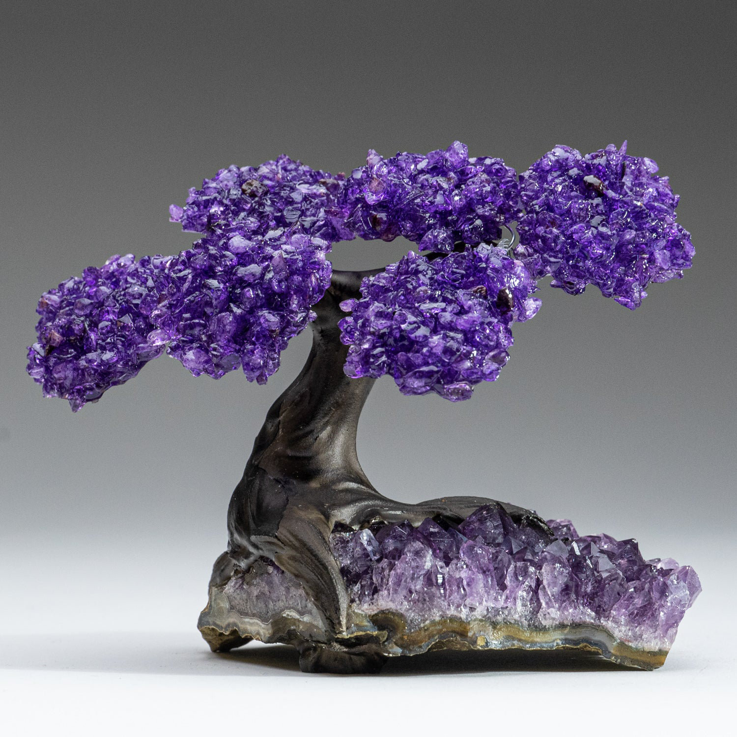 Astro Gallery of Gems Small Amethyst Clustered Gemstone Tree on ...